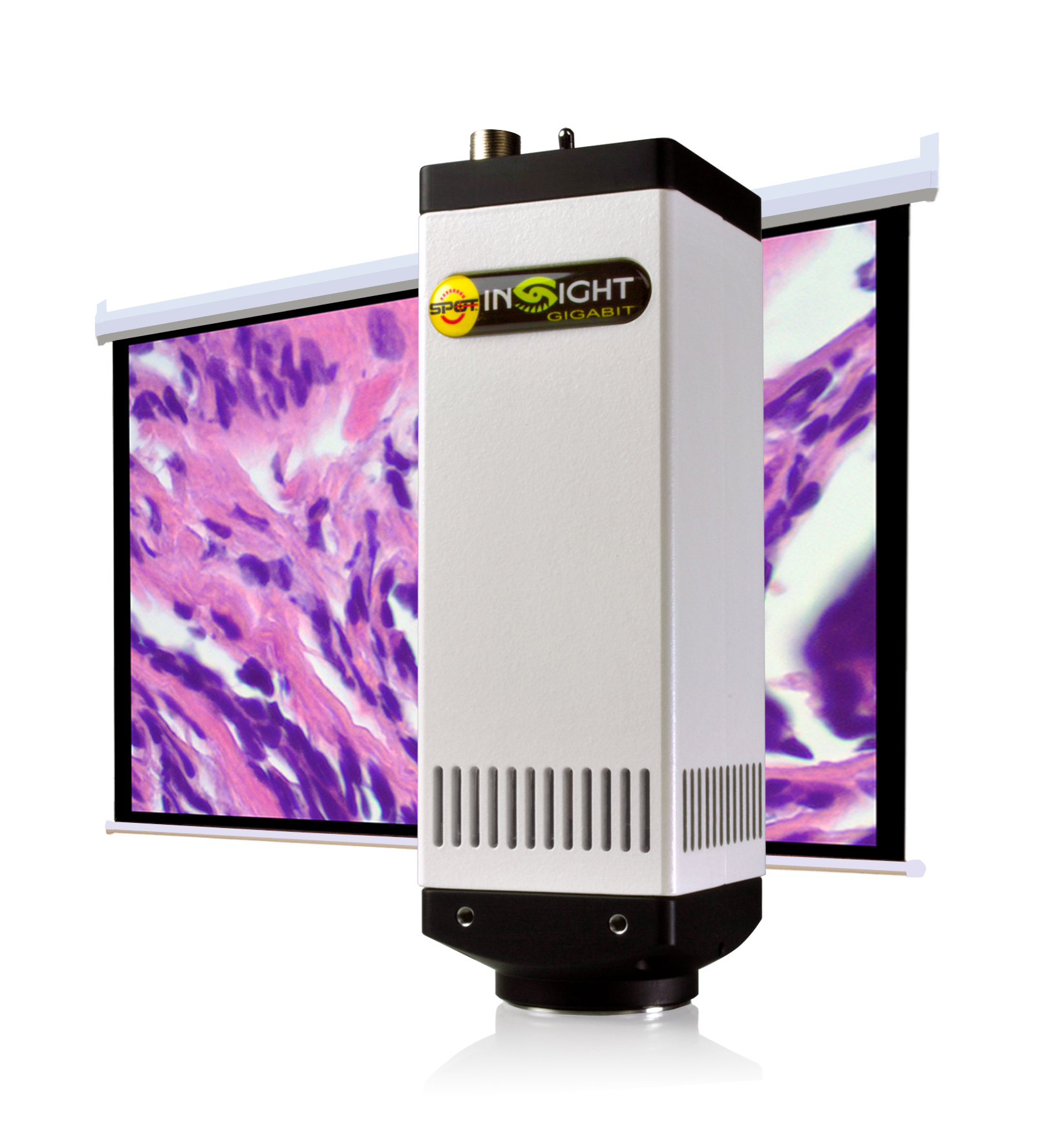 New SPOT Insight™ Gigabit Camera Brings Microscopy Presentations to ...
