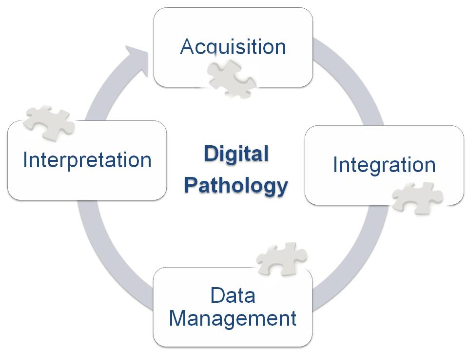 Empowering Patients With Digital Pathology | Tissuepathology.com