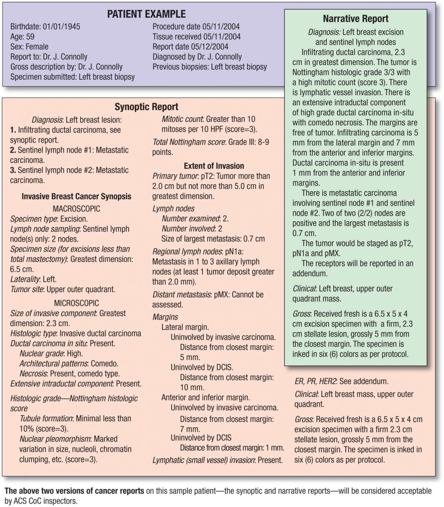 Synoptic Reports for Patients | Tissuepathology.com