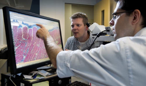 Multi-Center Clinical Validation Study by Philips to be Submitted to ...