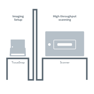 The Seven Pitfalls of Whole Slide Scanning | Tissuepathology.com