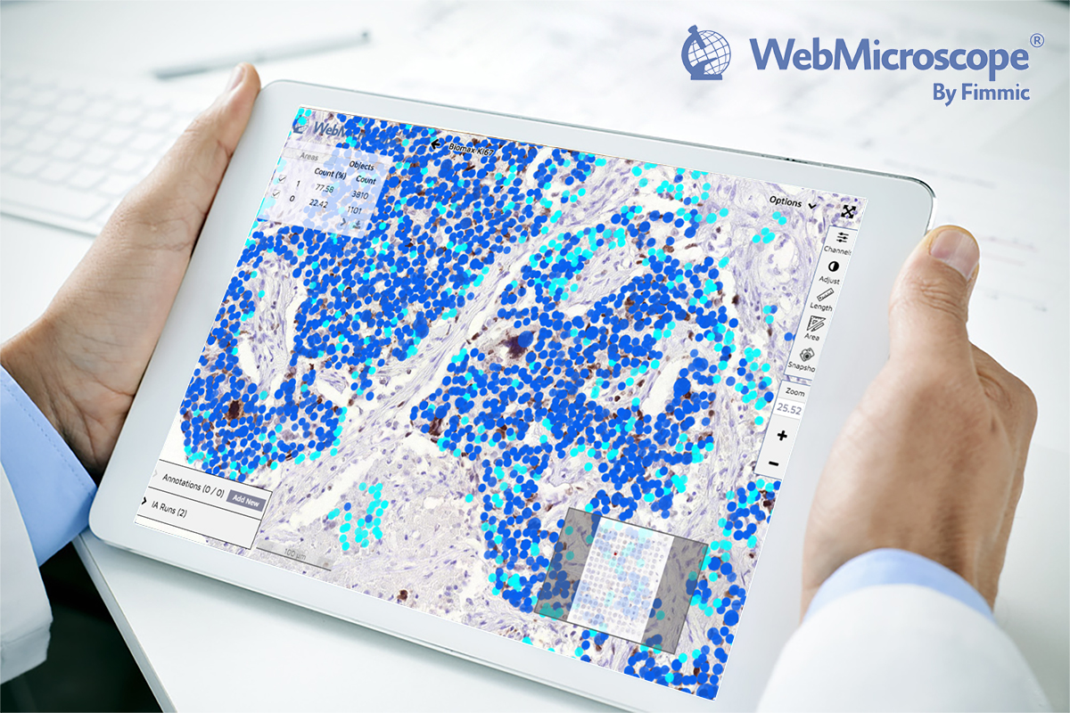 How to Use Deep Learning AI for Context-Intelligent Image Analysis ...