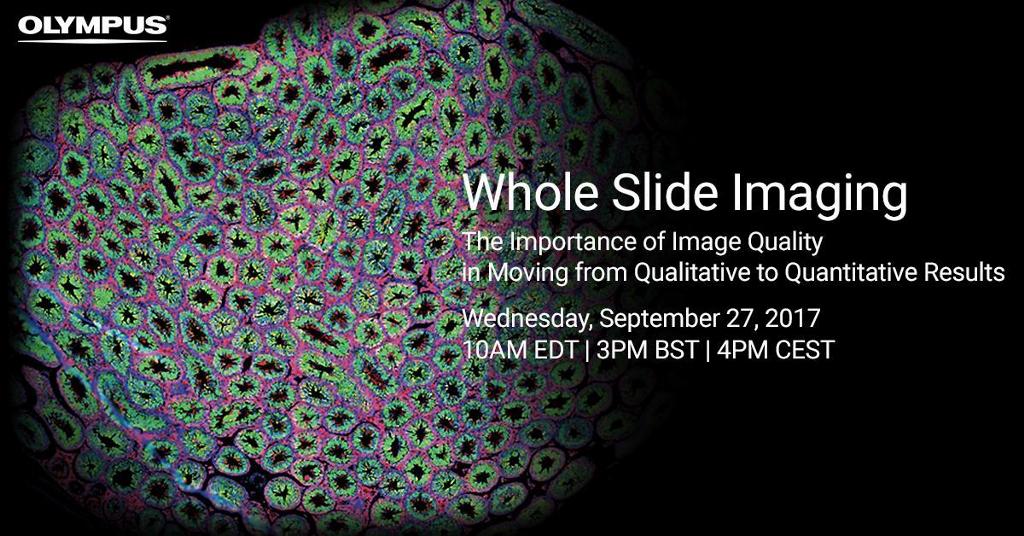 Whole Slide Imaging: The importance of image quality in moving from qualitative to quantitative ...