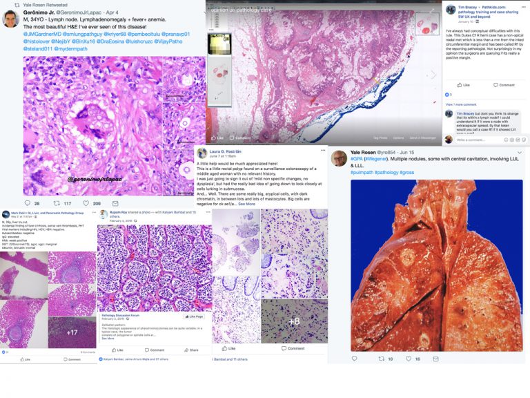 Pathology 2.0 – Nine Years Later | Tissuepathology.com