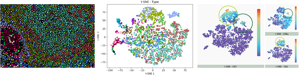 PhenomapTM Multiplexing: Automated Phenotyping Software Tool ...