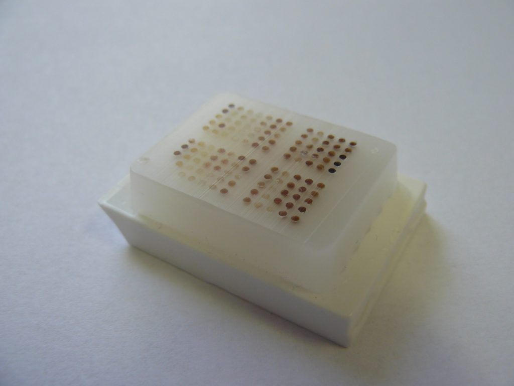 3DHISTECH WEBINAR ANNOUNCEMENT – TMA: Fully Automated, High-Throughput Solutions for Research ...