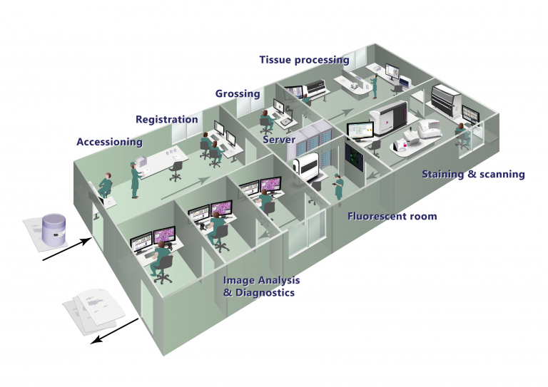 3DHISTECH WEBINAR ANNOUNCEMENT – Supporting faster and more accurate ...