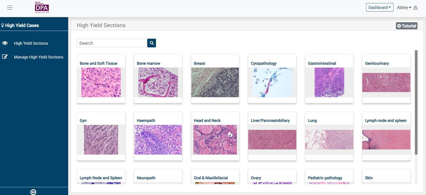 Digital Pathology Association Introduces New Whole Slide Imaging ...
