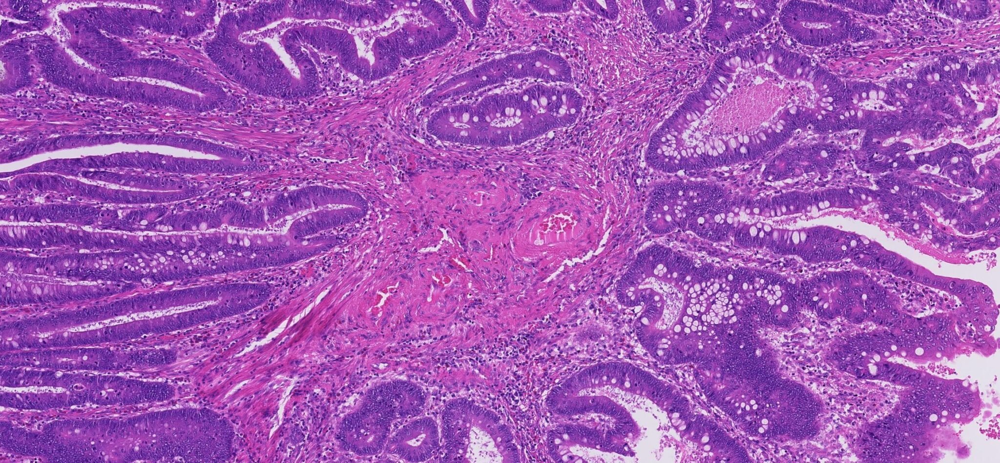 CellNetix Selects Proscia To Deliver New Standard Of Excellence In ...