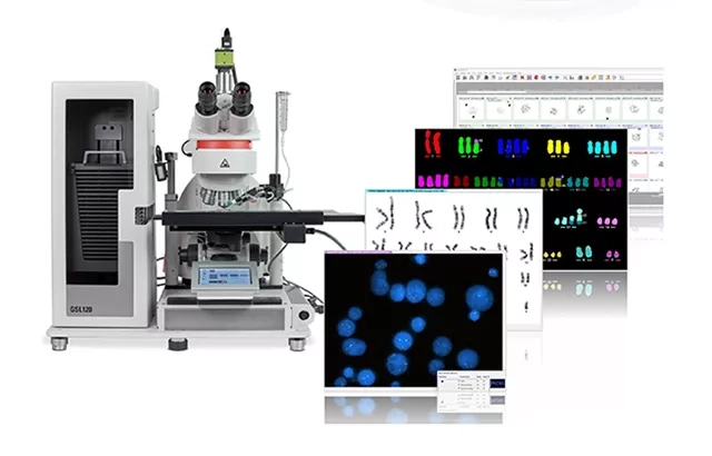Leica Biosystems Launches IVDR Certified CytoVision DX – Complete ...
